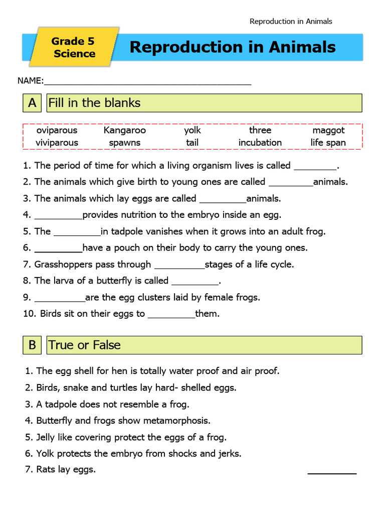 Science Worksheet Reproduction in Animals Class 4 A | PDF | Egg | Spawn ...