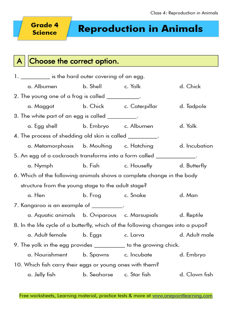 Science Worksheet Reproduction in Animals Class 4 B | PDF | Egg | Yolk