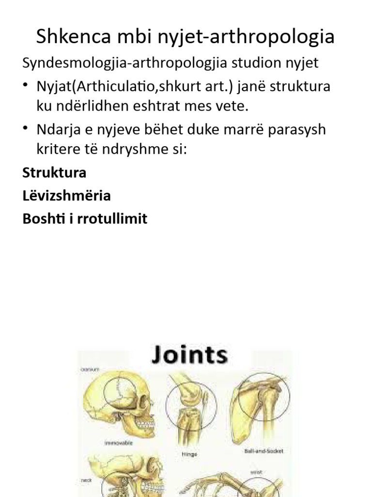 Shkenca Mbi Nyjet-Arthropologia | PDF