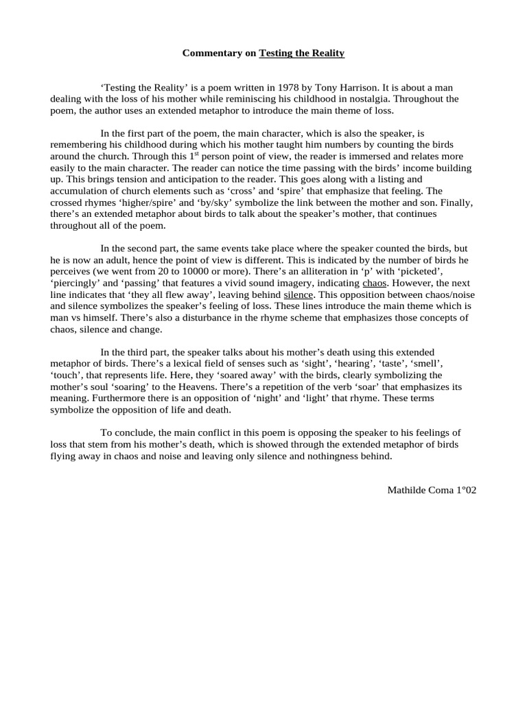 Commentary Testing The Reality | PDF | Poetry