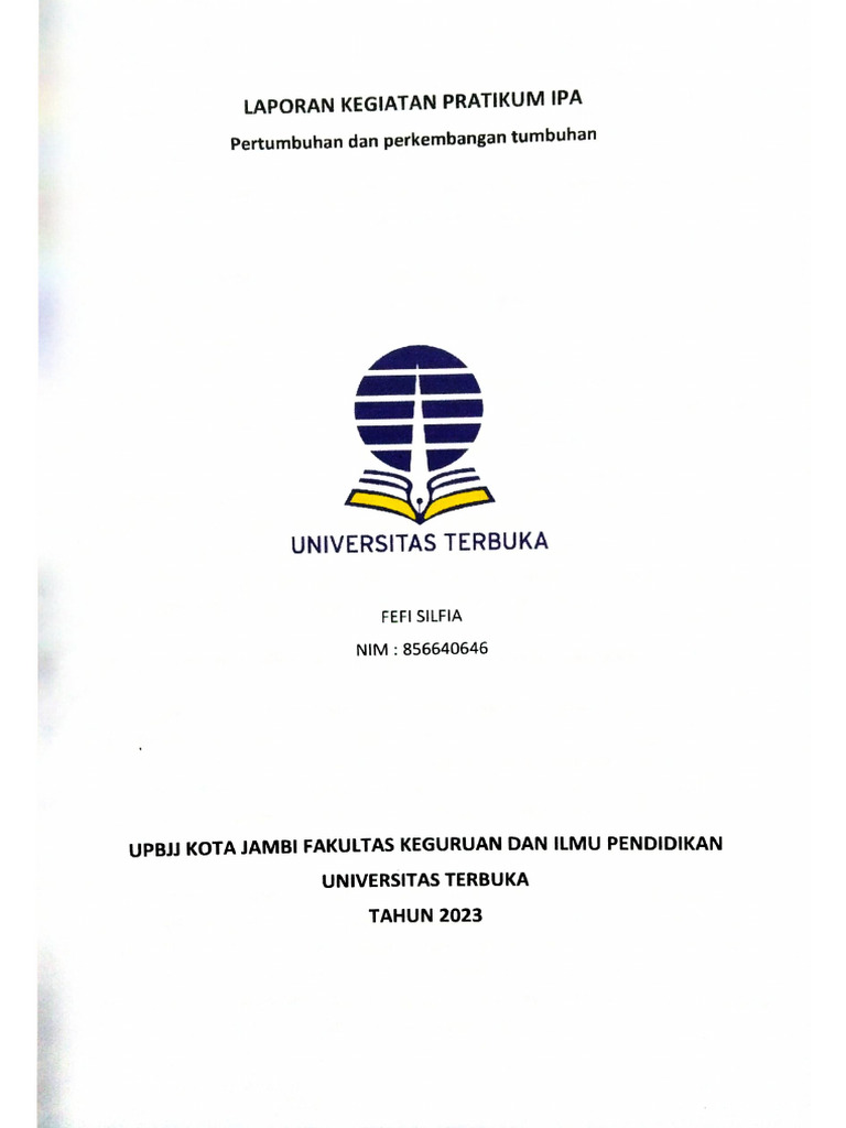 Laporan Fefi | PDF