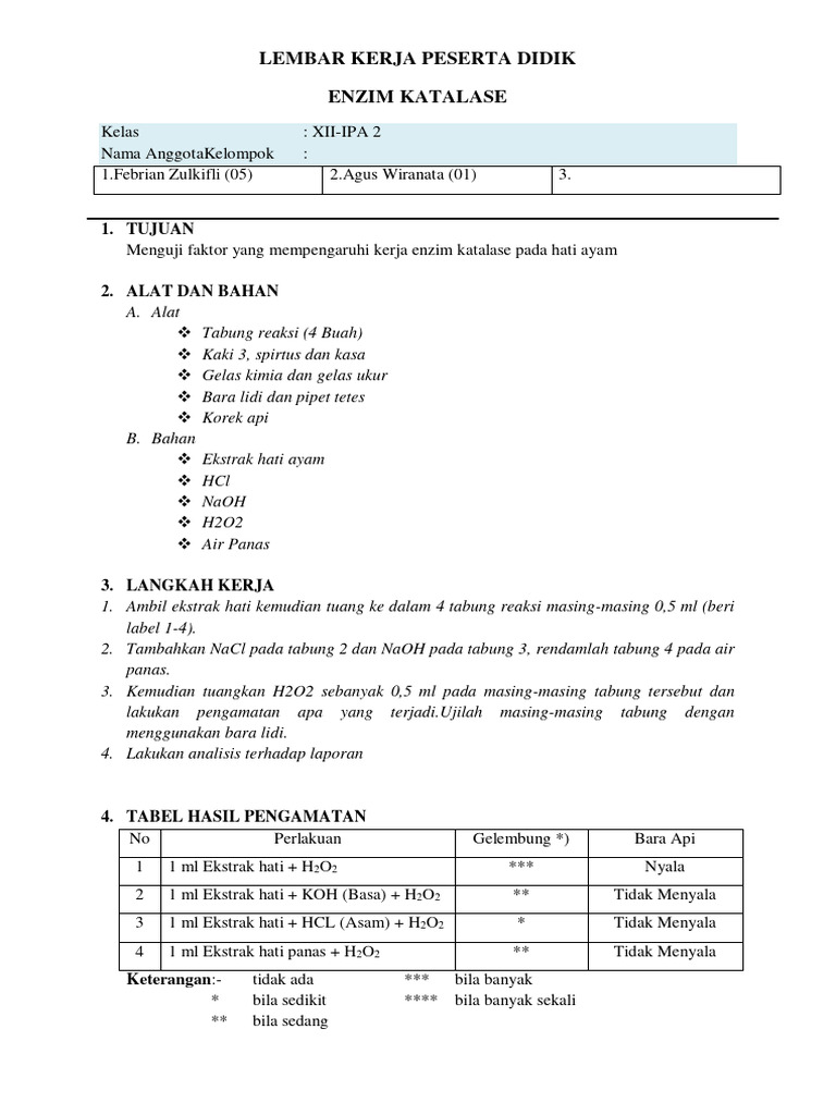 LKPD - Enzim - Katalase - Febrian - Zulkifli (1) J | PDF