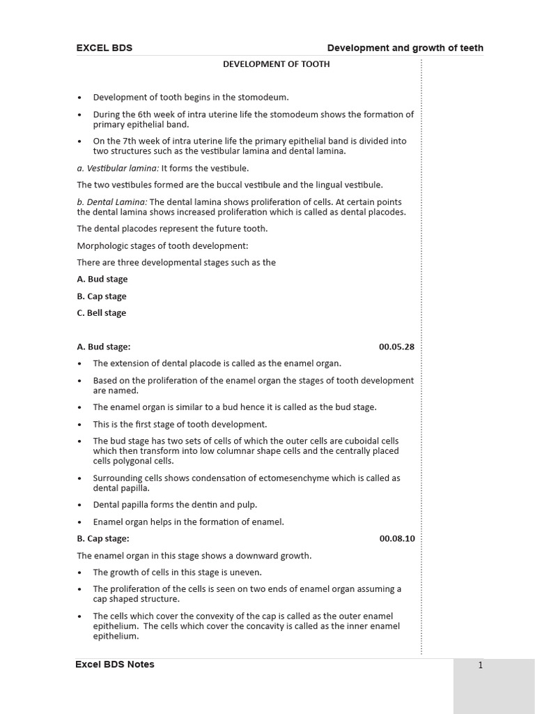 Dev of Tooth | PDF | Tooth | Anatomy