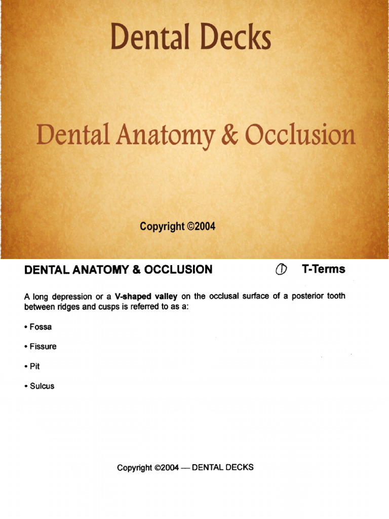 Dental Decks, Dental Anatomy and Occlusion (Dentistry) (Z-Library) | PDF
