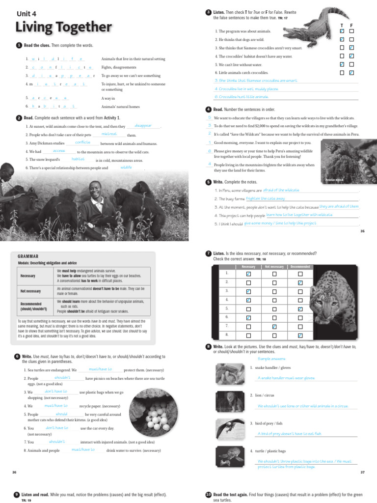 English Lev 1 Workbook Answer Key | PDF | Organisms