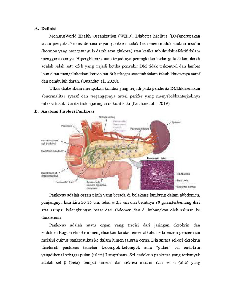 LP Ulkus Diabetic Ruangan Cemara Ii | PDF