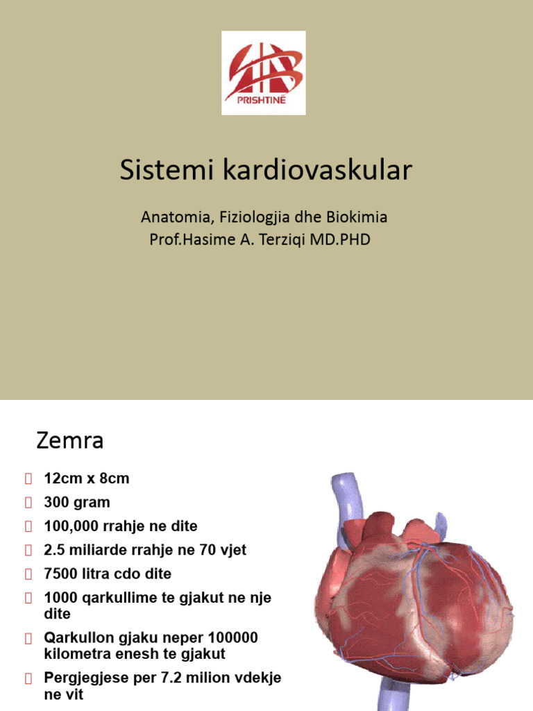 Sistemi Kardiovaskular 2023 | PDF