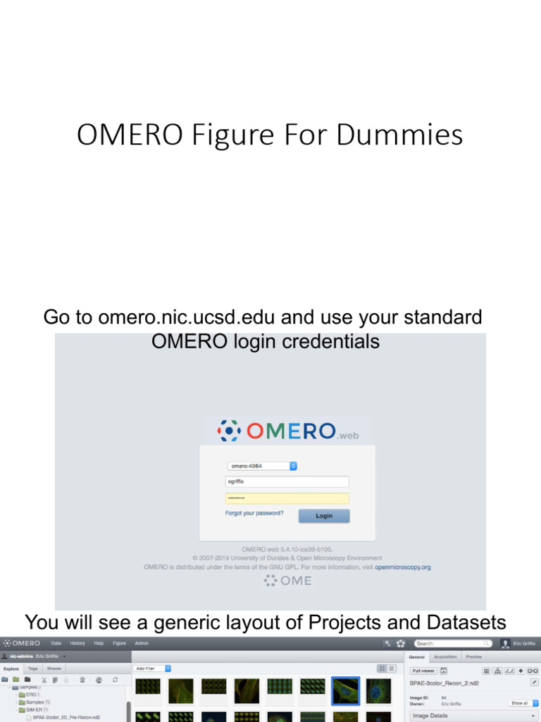 Omero Web Figure Manual | PDF