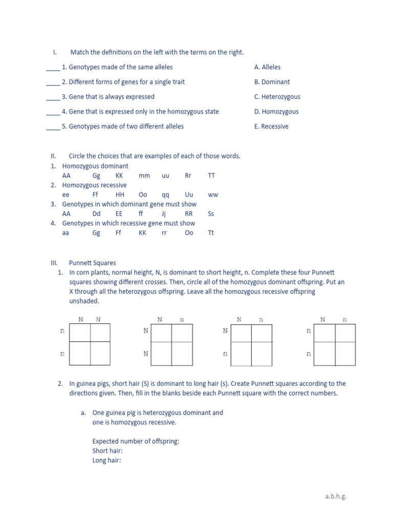 Punnett Square Worksheet | PDF | Genotype | Dominance (Genetics)