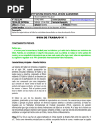 Imprimir Sopa de Letras - Tradiciones Indígenas | PDF