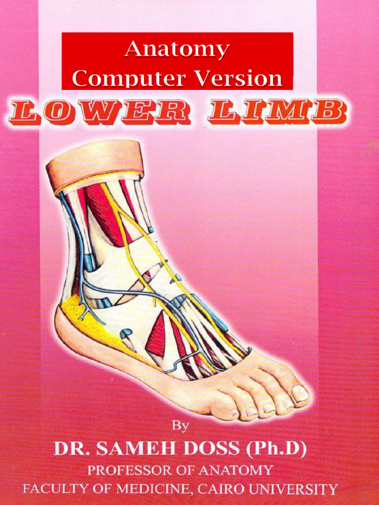 Sameh Doss Lower Limb Computer Version 9bs DR Notes | PDF | Knee | Soft ... Sameh Doss Lower Limb Computer Version 9bs DR Notes | PDF | Knee | Soft ...