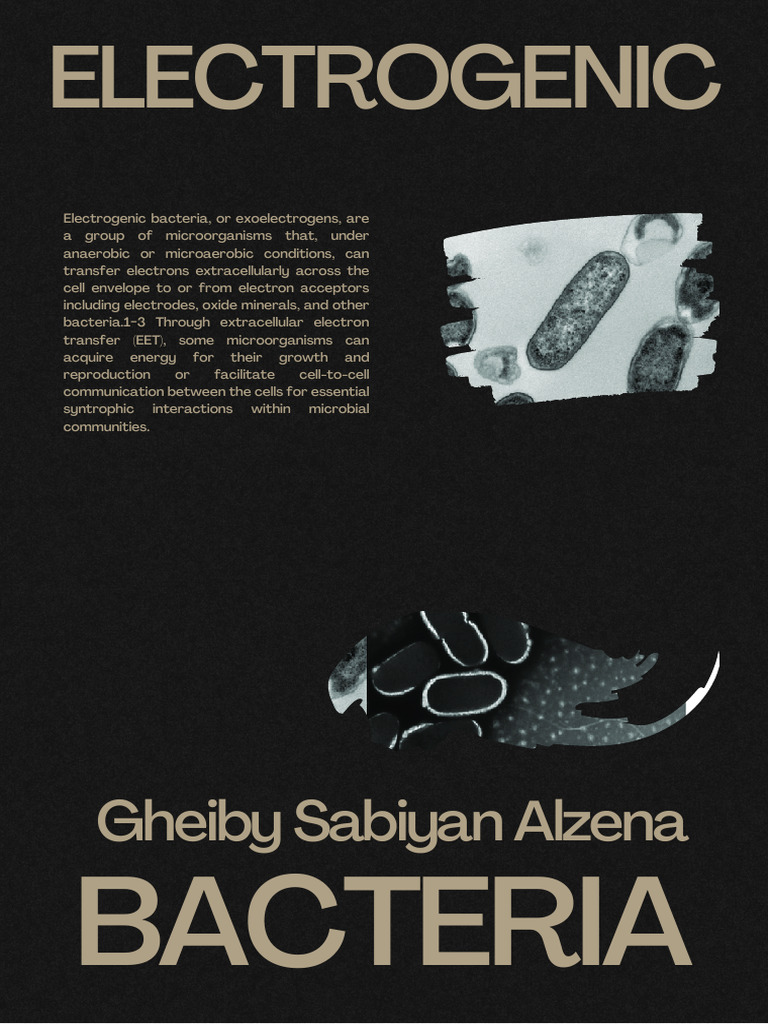 Electrogenic Bacteria | PDF