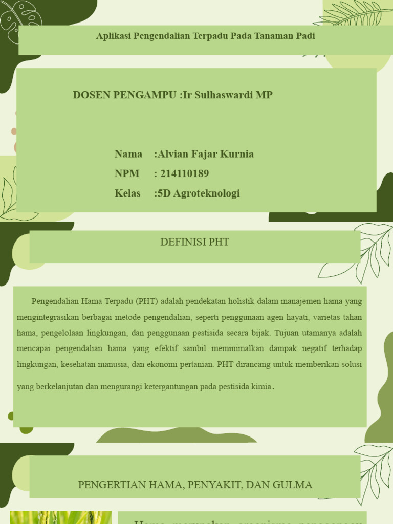 PHT P Pada Tanaman Padi ALVIAN | PDF