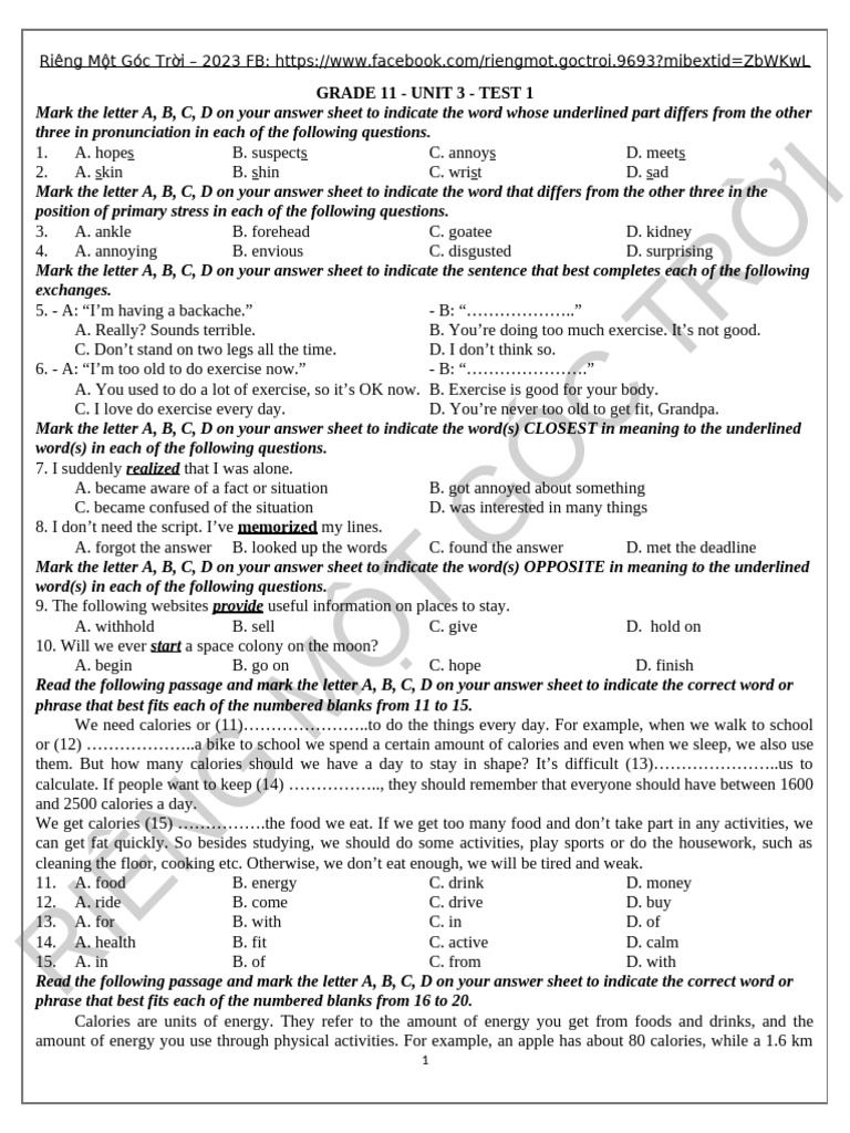 Grade 11 English Test on Vocabulary | PDF | Calorie | Ellipsis