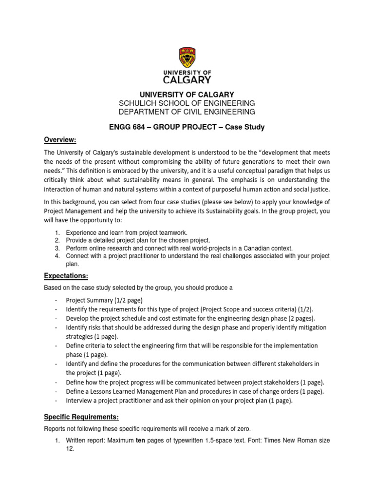 Group Project Outline | PDF | Risk | Project Management