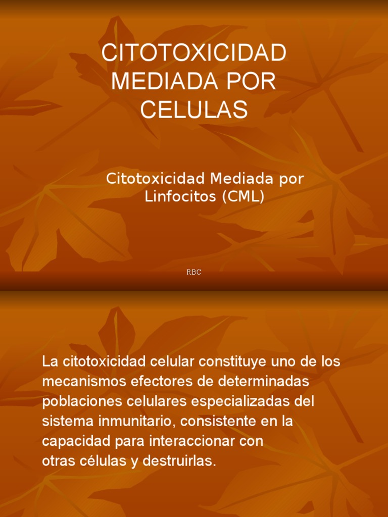 Citotoxicidad Mediada Por Linfocitos | PDF | Célula T | Célula asesina ...