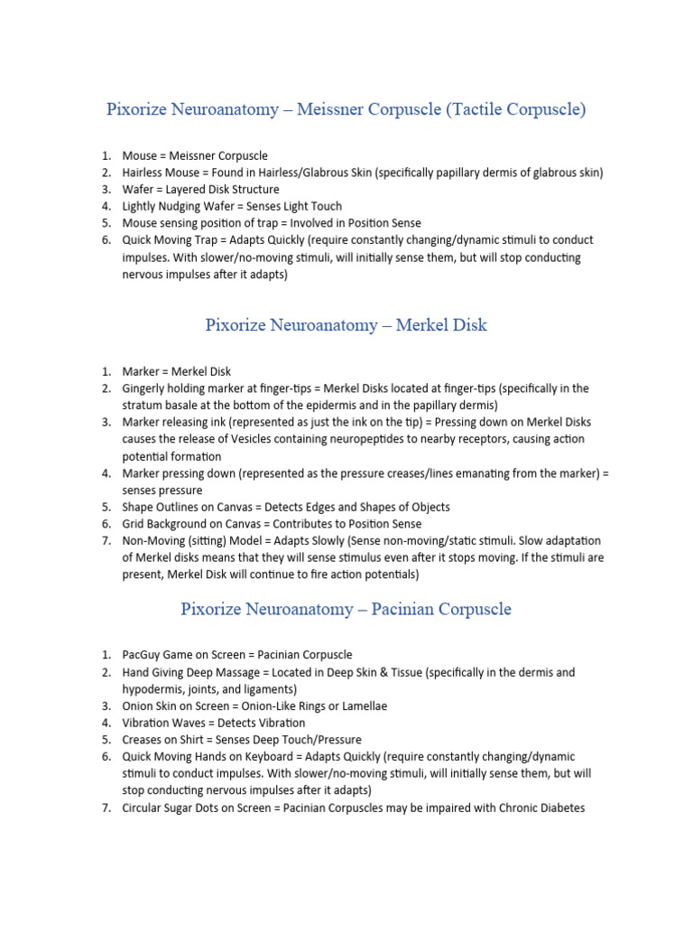 Pixorize Neuroanatomy: Touch Sensors | PDF | Senses | Skin