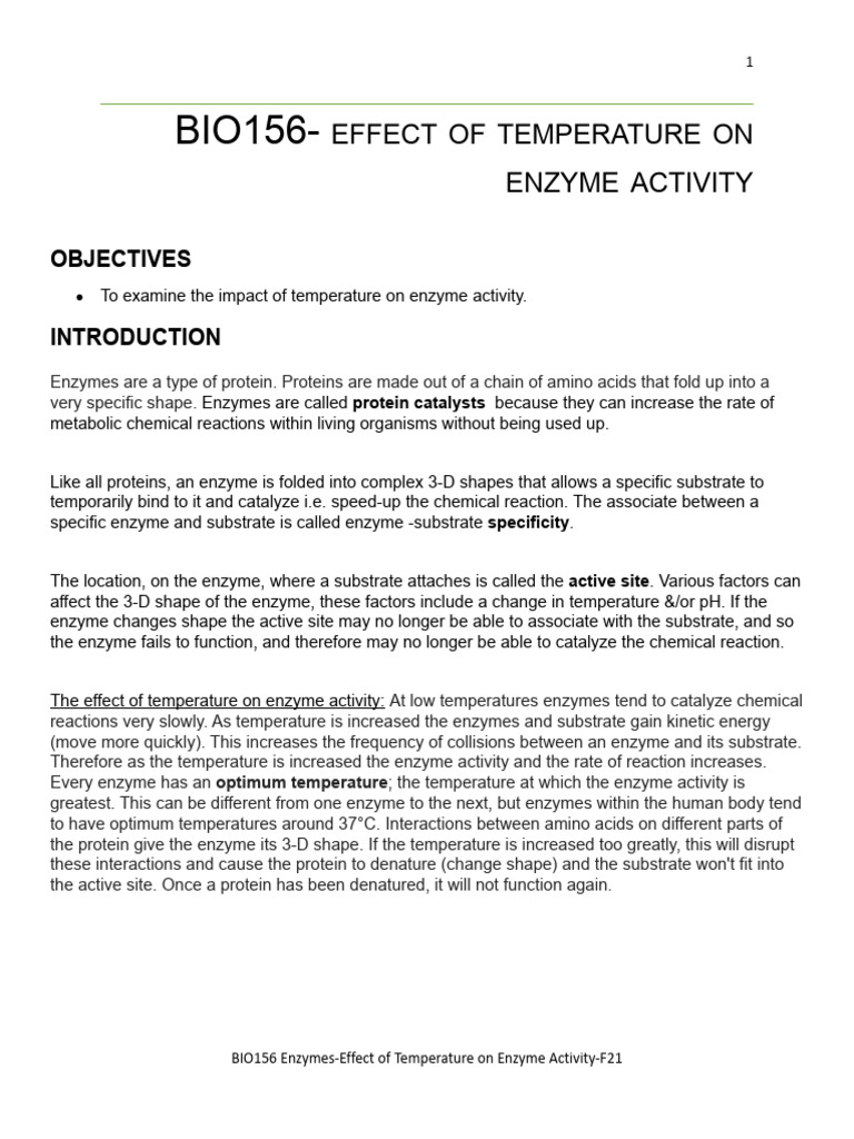 Temperature's Impact on Enzyme Activity | PDF | Enzyme | Active Site