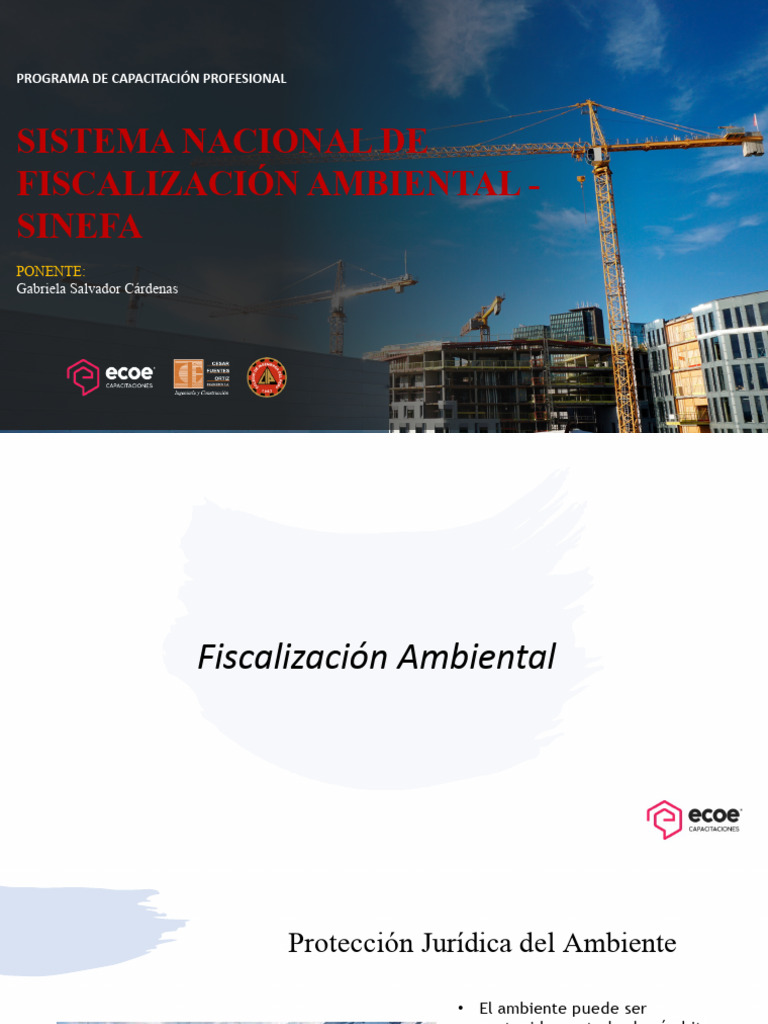Sinefa - 1 | PDF | Regulación | Justicia