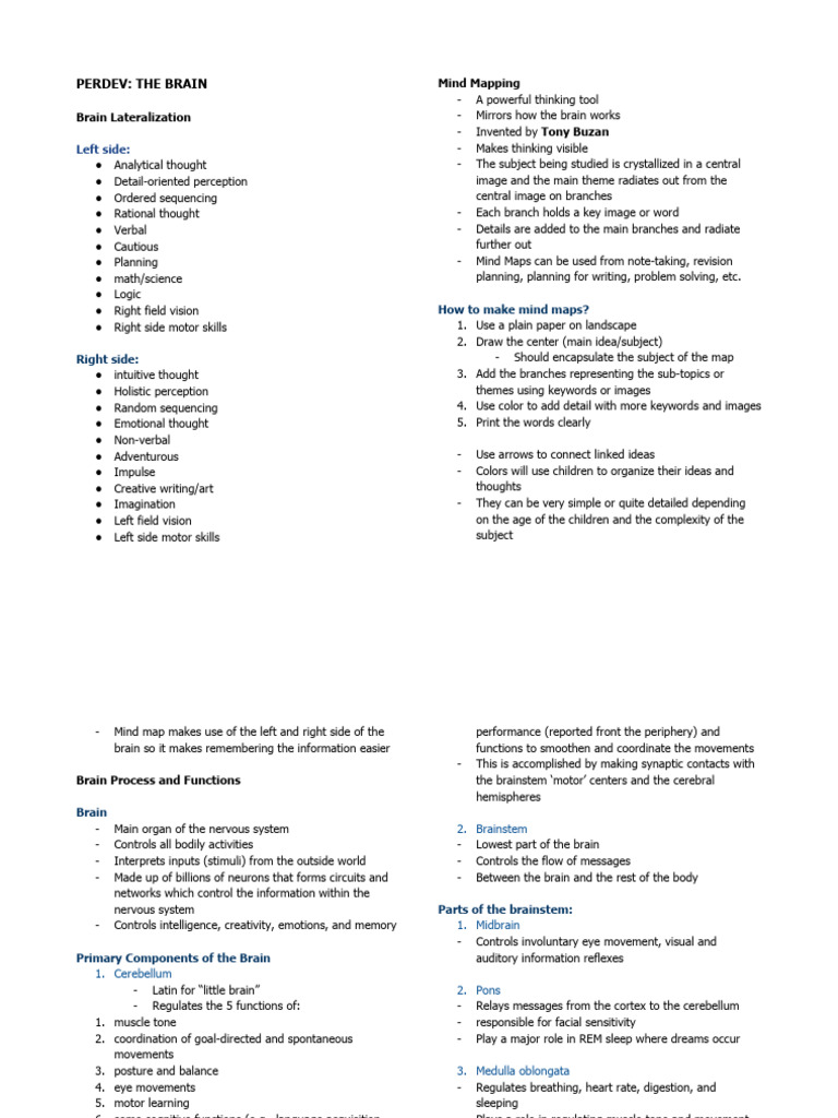 Perdev The Brain | Download Free PDF | Brainstem | Axon