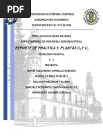 Tracto Rubroespinal | PDF | Cerebro | Neuroanatomía