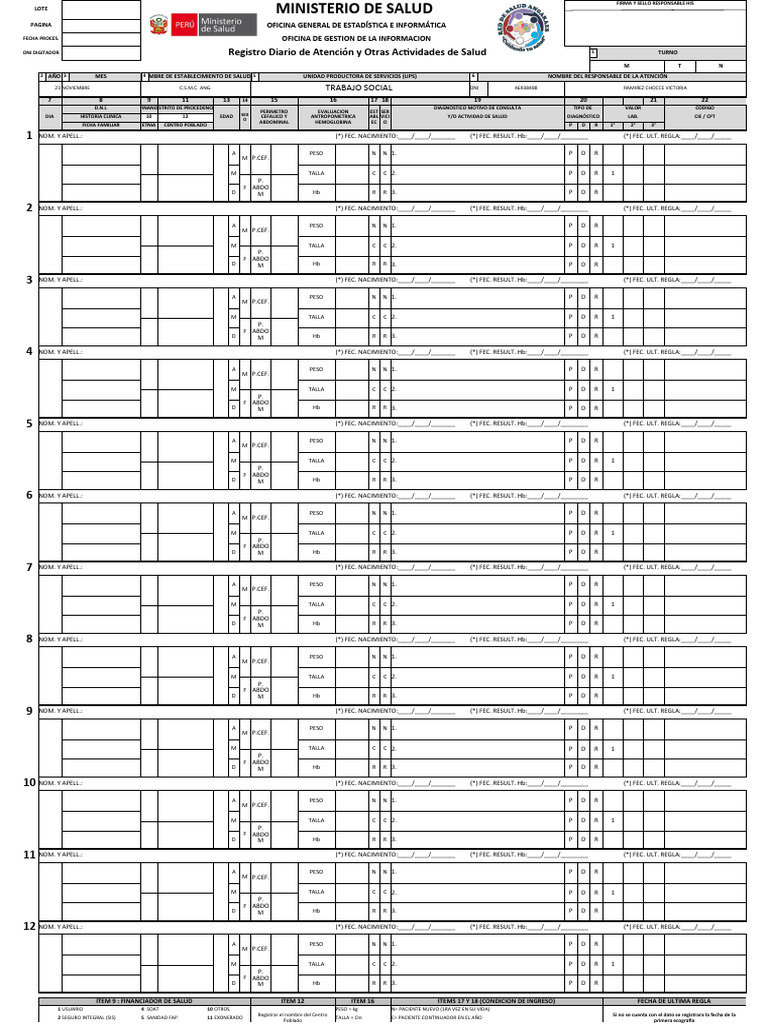 Formato His 2020 | PDF | Ciencias de la Salud | Cuidado de la salud