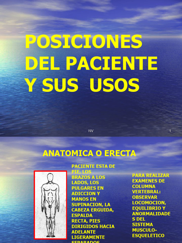 Guía de Posiciones del Paciente | PDF | Abdomen | Anatomía humana