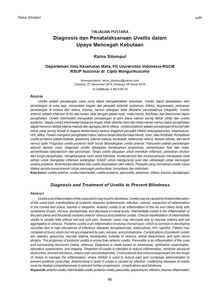 Diagnosis and Treatment of Uveitis To PR A04d49fa | PDF