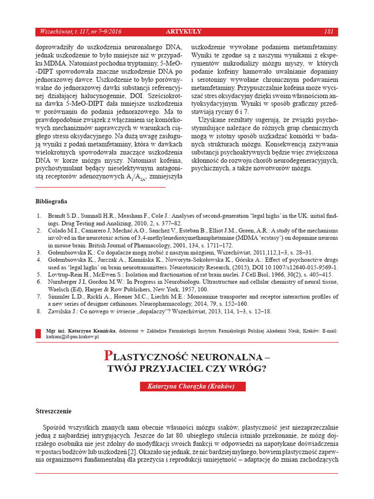 Plastyczność Neuronalna Twój Przyja | PDF