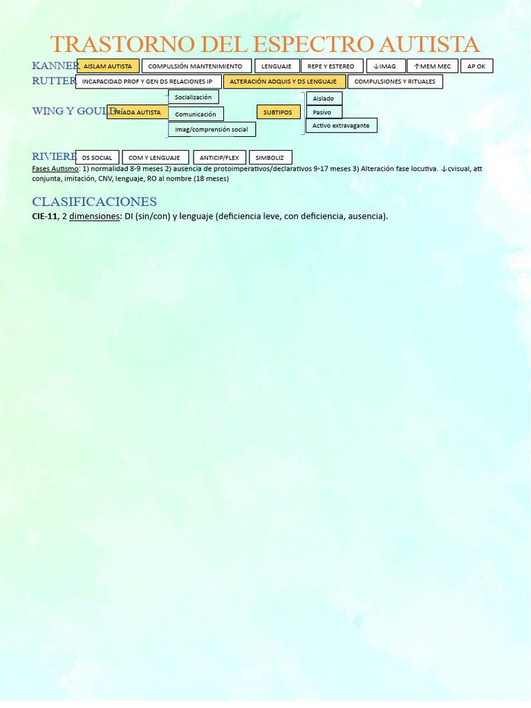 Trastorno Del Espectro Autista | PDF