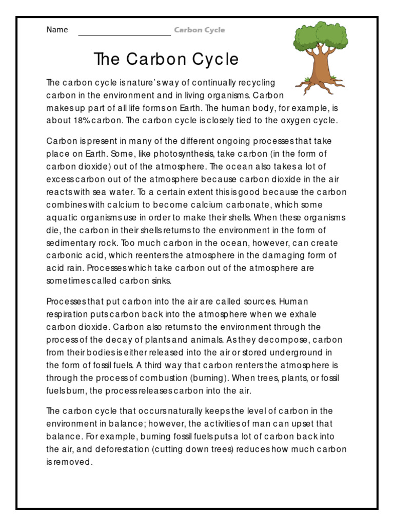 The Carbon Cycle | PDF