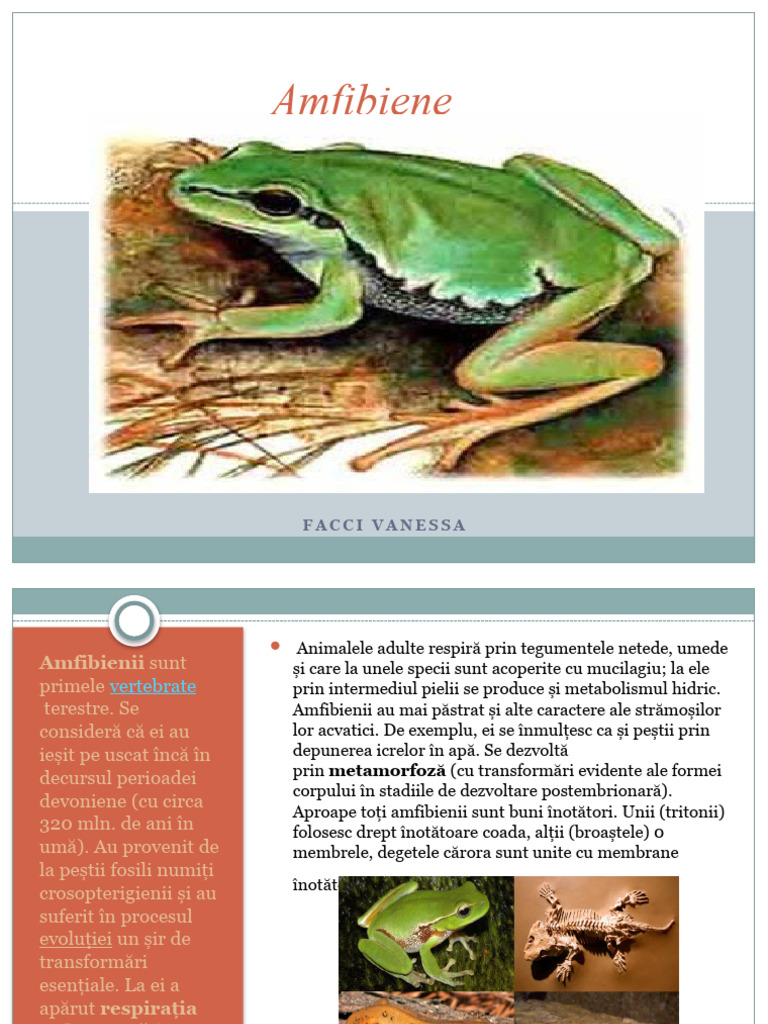 Biologie Amfibiene | PDF