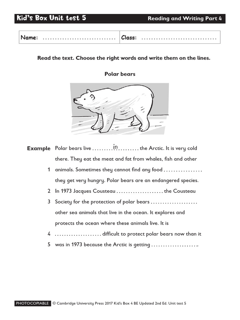 KB Be Level 4 Unit 5 Yle Test | PDF