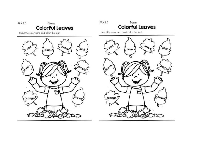 Homework COLORS | PDF