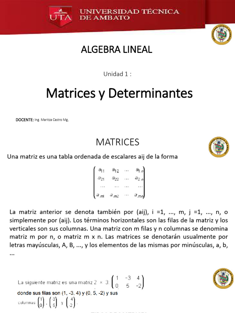 Matrices Tipos Operaciones Inversa Determinantes | PDF | Matriz ...