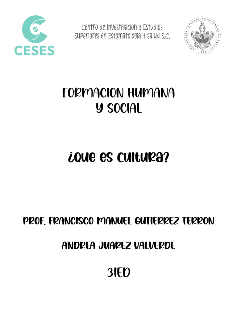 Cemia | PDF