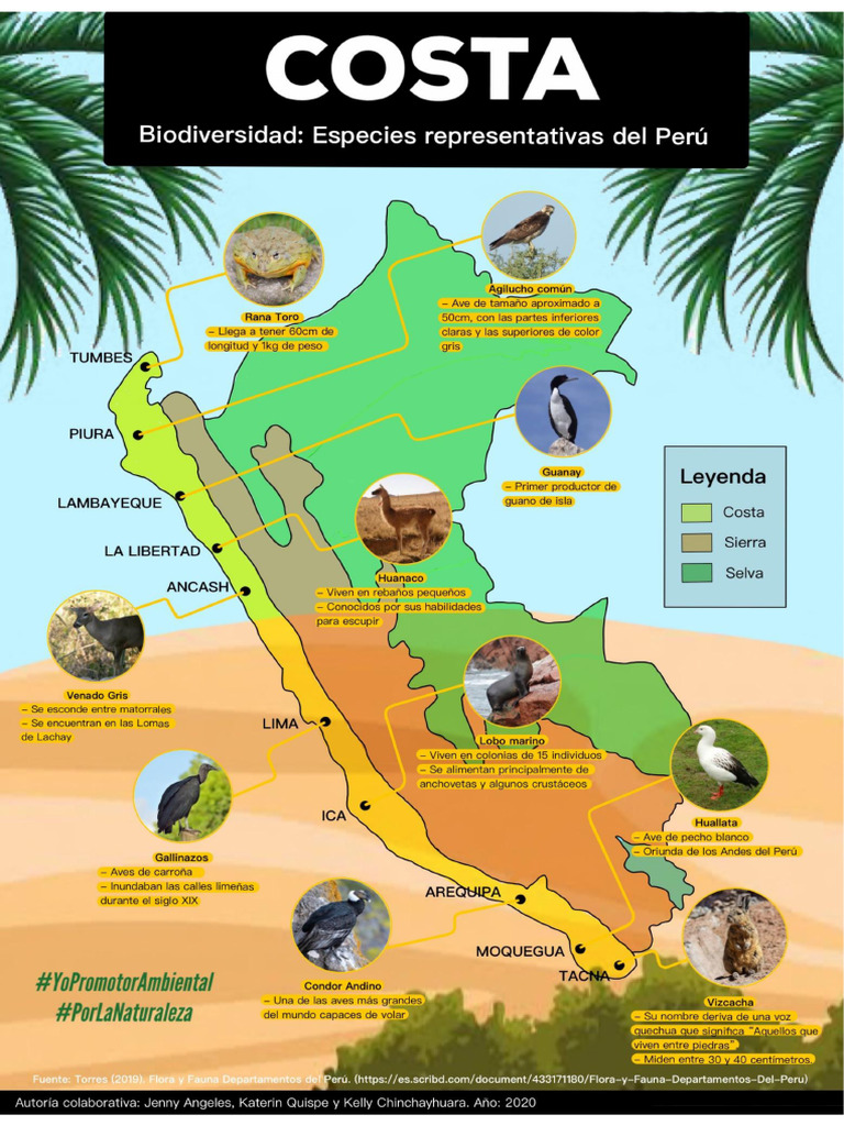 Fauna de La Costa | PDF
