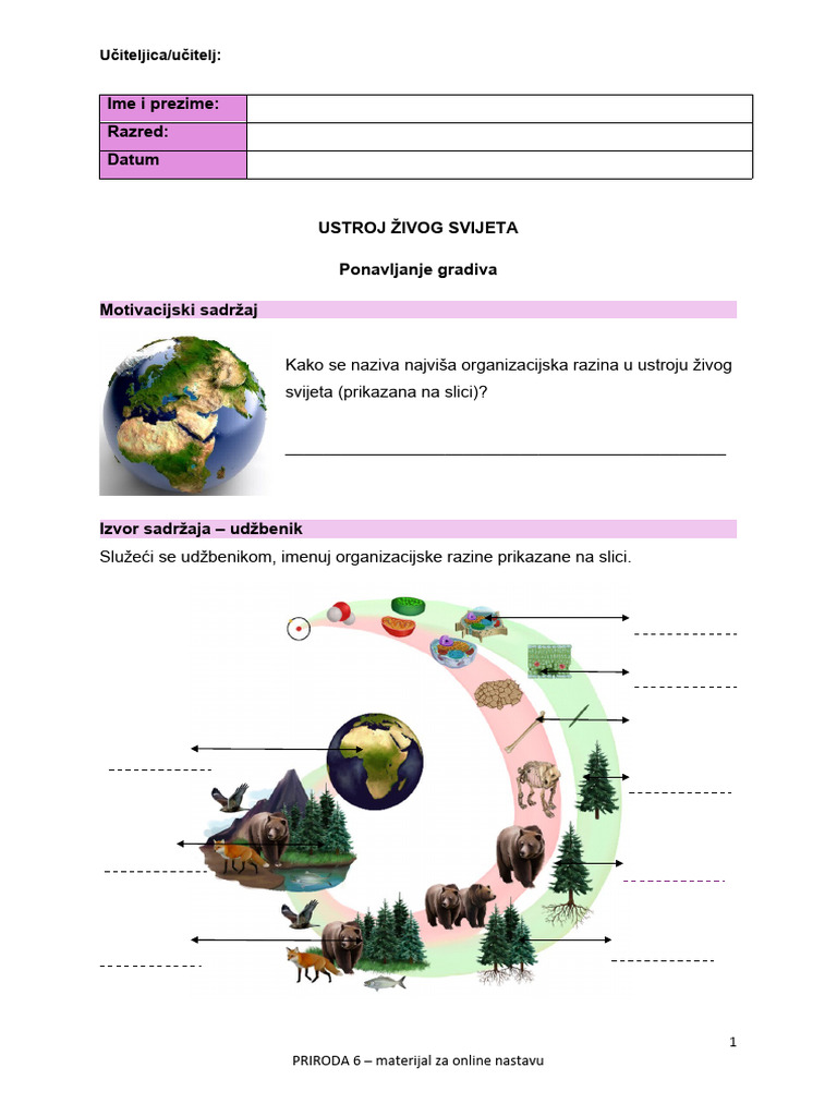 Ustroj Živog Svijeta | PDF
