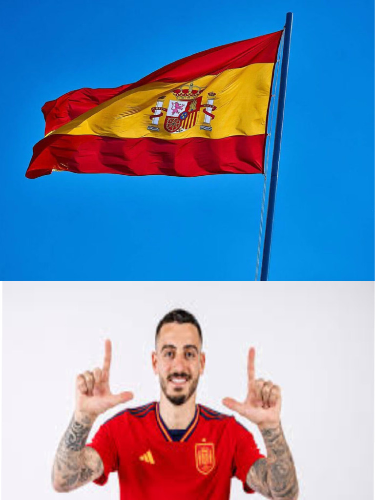Spain | PDF