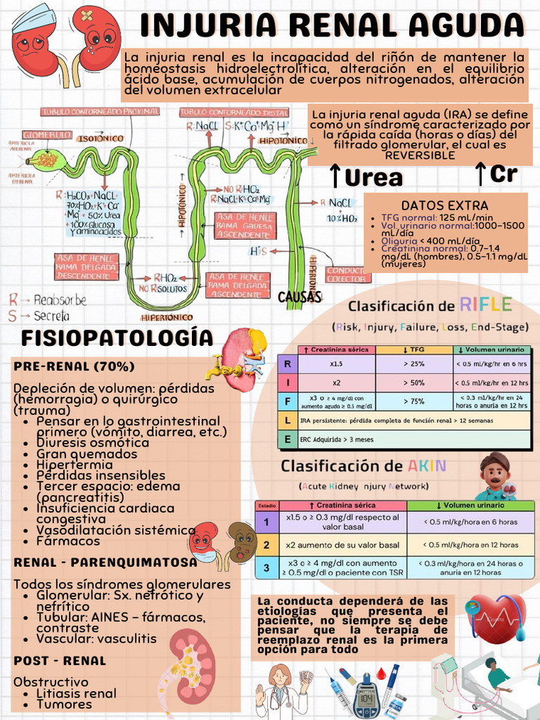 Injuria Renal Aguda y Cronica | PDF | Riñón | Enfermedades y trastornos