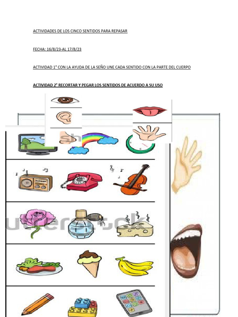 Actividades de Los Cinco Sentidos para Repasar | PDF