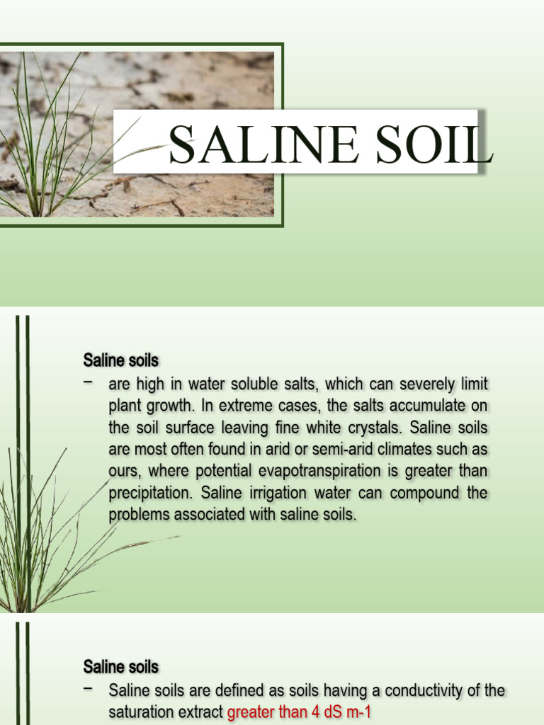 Saline | PDF | Soil | Plant Nutrition