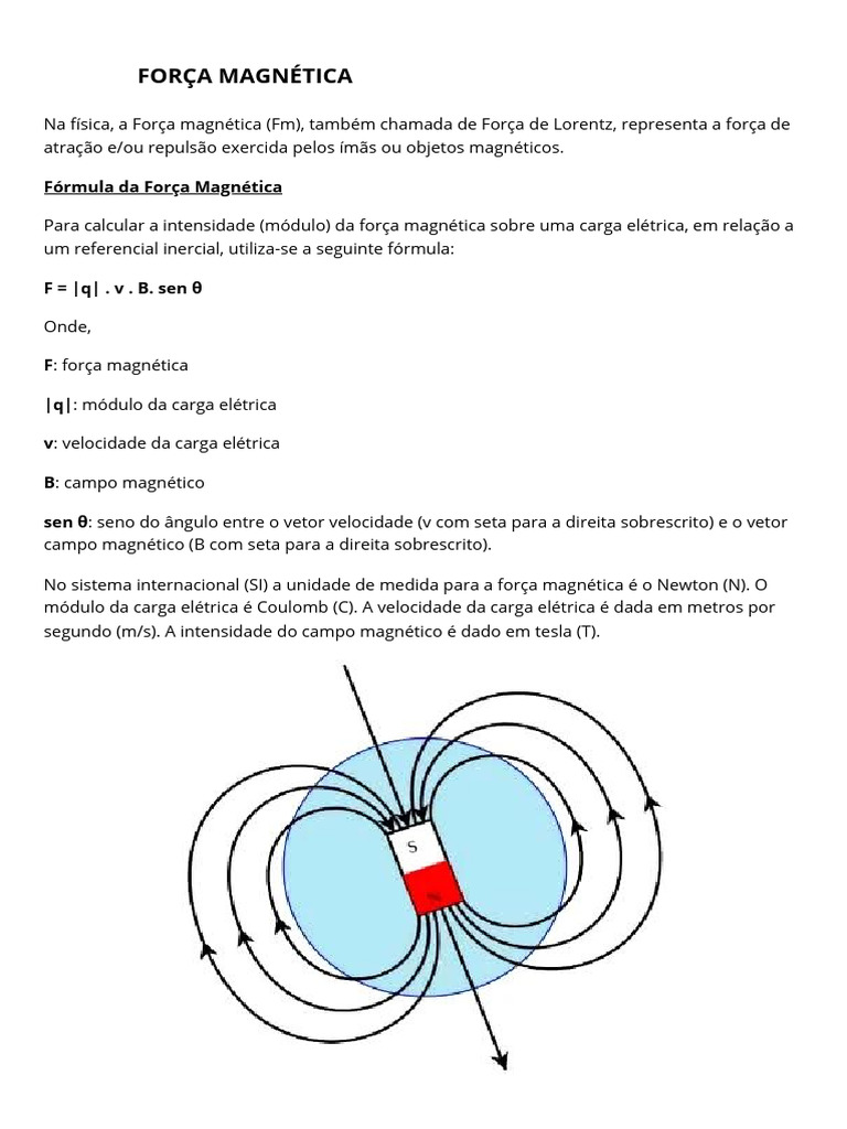 Força Magnética - 20231129 - 003210 - 0000 | PDF | Campo magnético ...