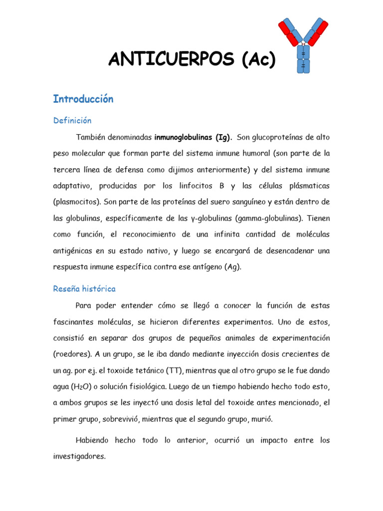 Anticuerpos | PDF | Anticuerpo | Inmunología