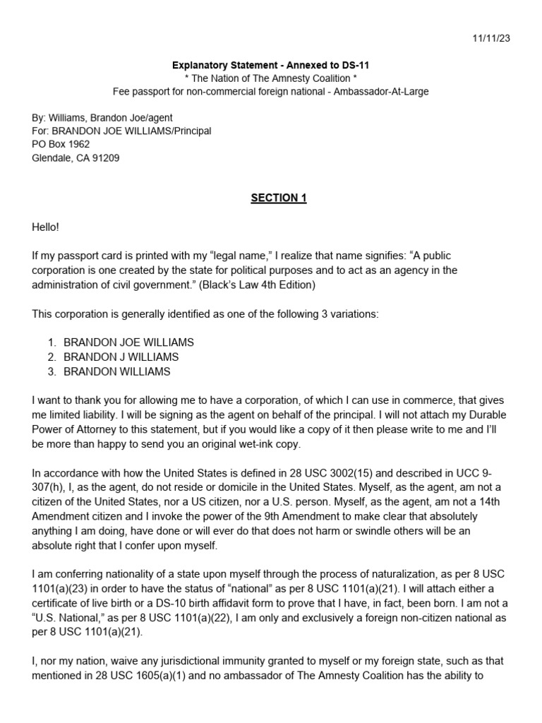 Explanatory Statement For The Amnesty Coalition | PDF | Mind | Peace