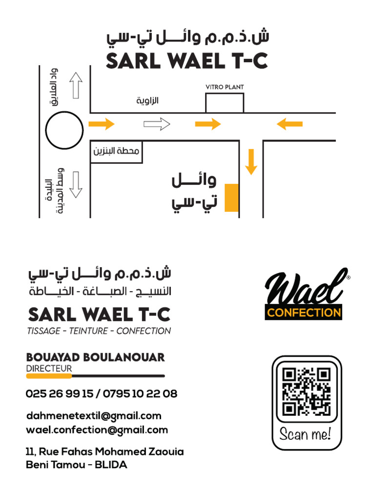 CV Wael For Print | PDF