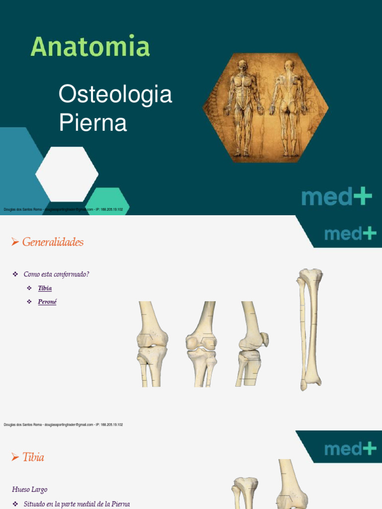 Tibia, Peroné | PDF | Sistema esquelético | Anatomía humana