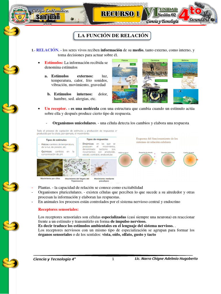 Función de Relación en Seres Vivos | PDF | Neurona | Sinapsis