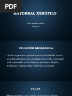 Matorral Xerofilo | PDF | Ecosistema | Entorno natural