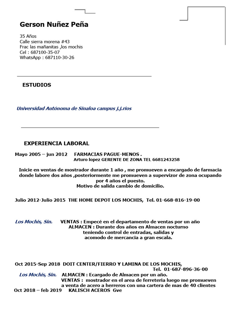 Gerson Curriculum | PDF